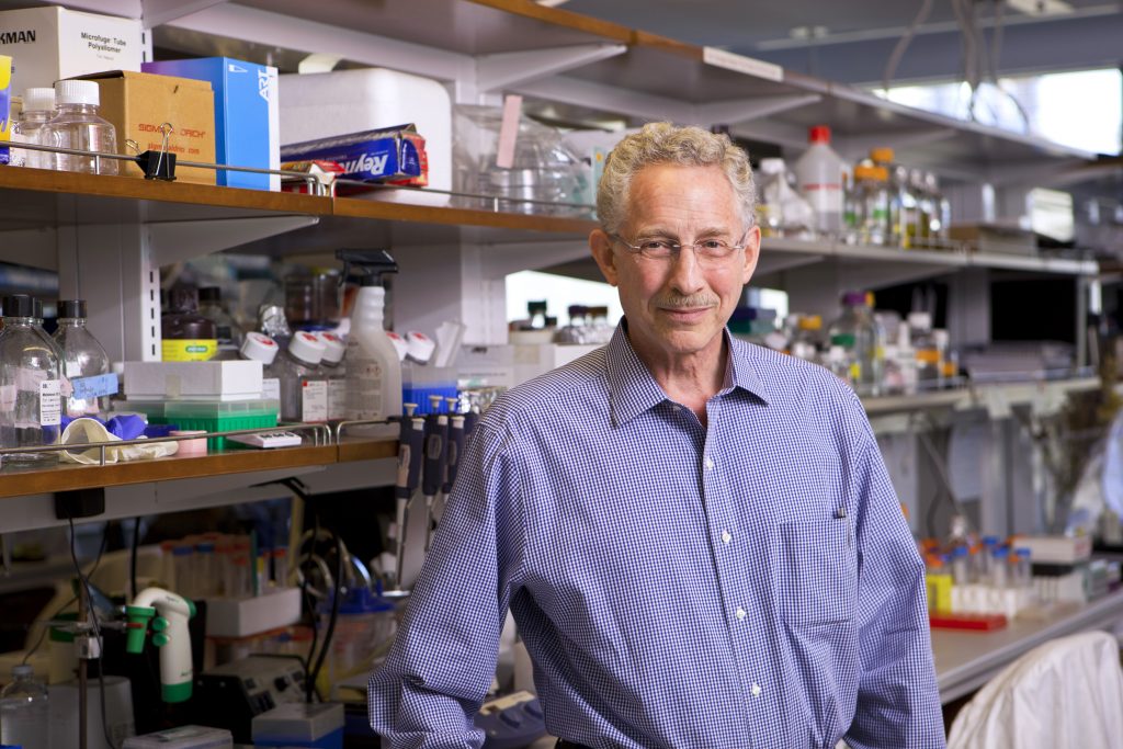 Resistance Movement – Cornell Alumni Magazine