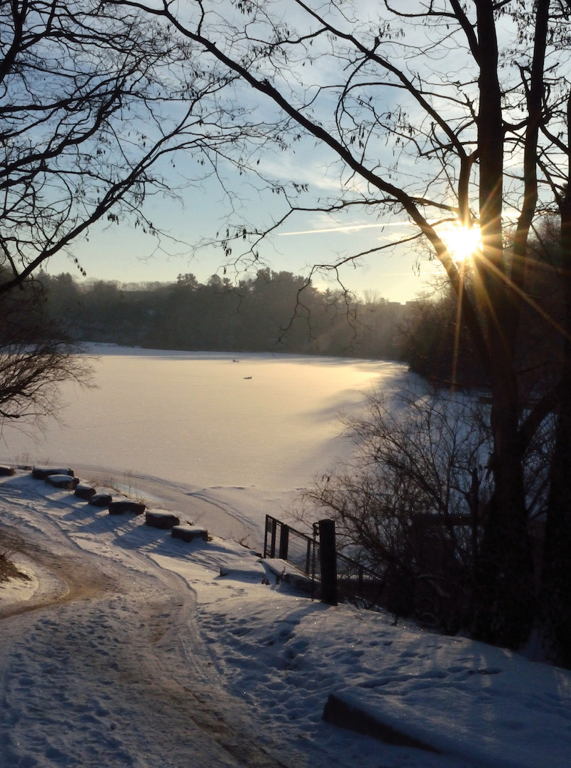 Water World – Cornell Alumni Magazine