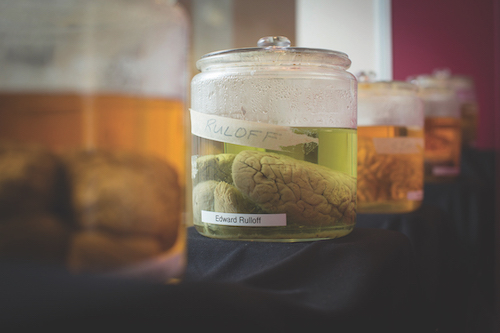 Killer Instinct – Cornell Alumni Magazine